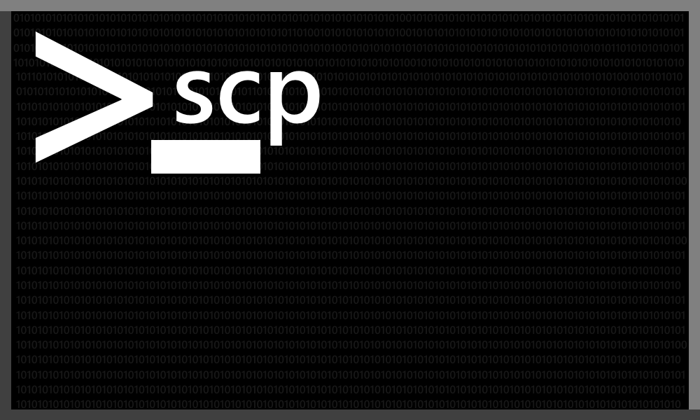 Scp File Transfers EiMF